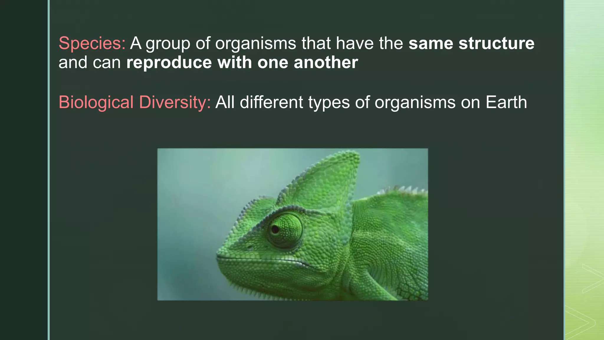 Unit a biologicaldiversitynotes(diversity-classification) | PPT