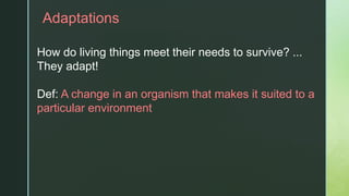 Unit a interactionsandecosystems(adaptations) | PPT