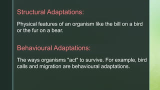 Unit a interactionsandecosystems(adaptations) | PPT