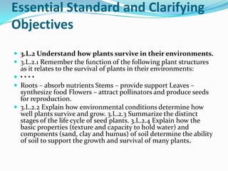 Unit and lesson presentation | PPT