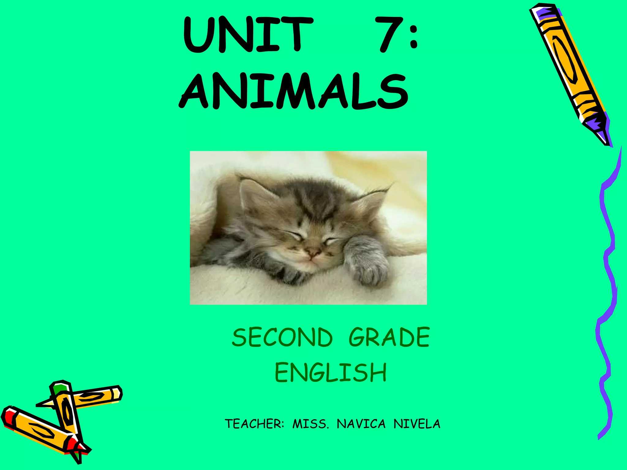 ANIMALS - UNIT 7 | PPT