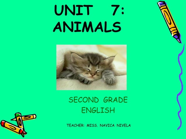 ANIMALS - UNIT 7 | PPT