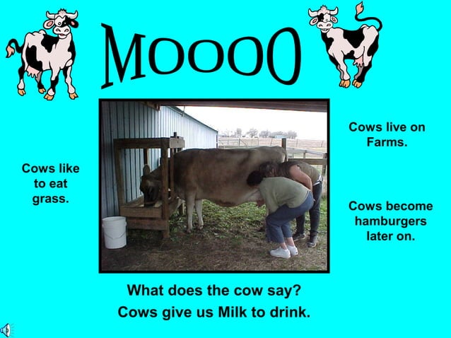 ANIMALS - UNIT 7 | PPT