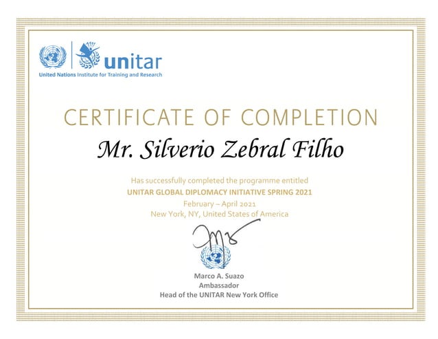 Unitar Global Diplomacy Initiative 2021 | PPT