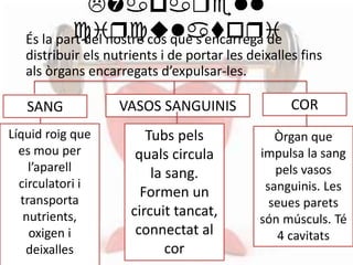 Unitat 2: Funcions vitals | PPTX