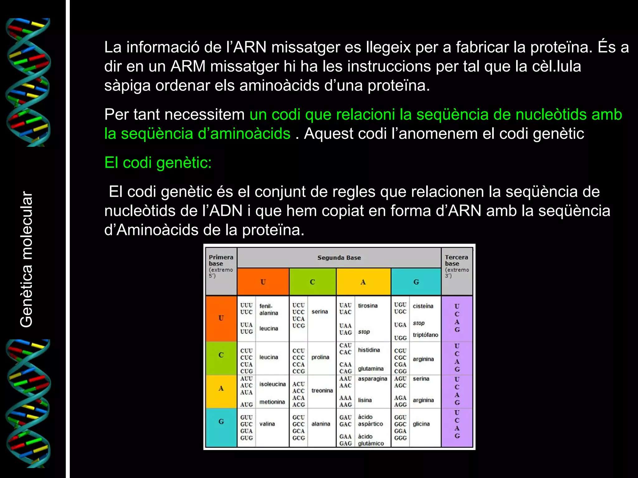 Genètica molecular | PPT
