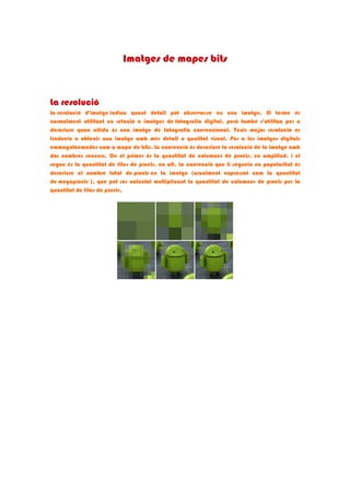 Imatge Digital / Digital Image | PDF