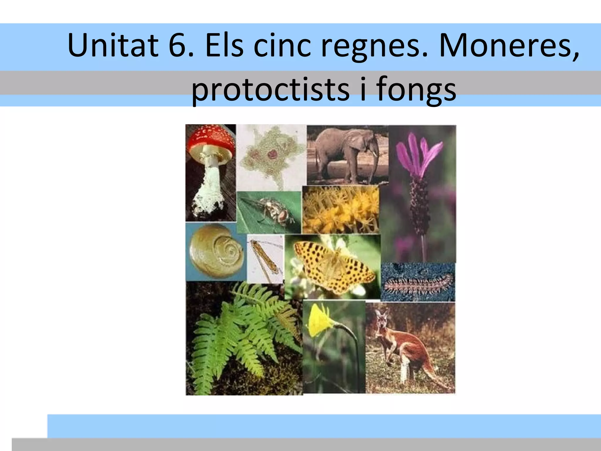 Unitat 6 | PPT
