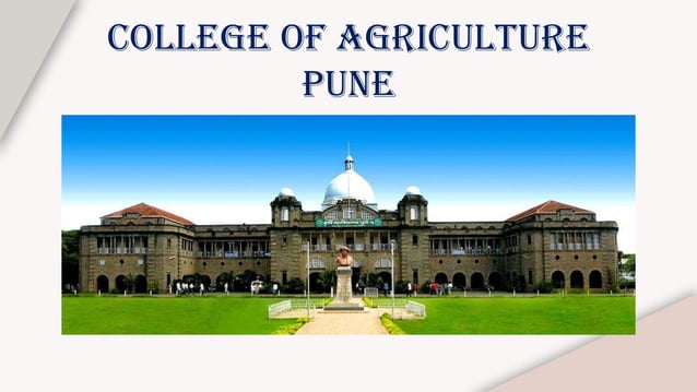 UNIT ATACHMENT PPT RAWE Aditya Wadibhasme | PDF