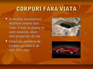 corpuri | PPT