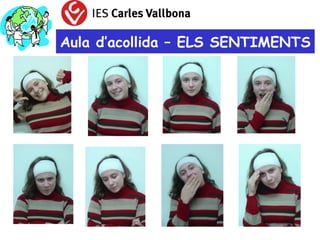 TREBALL DELS SENTIMENTS A L'AULA D'ACOLLIDA | PPT