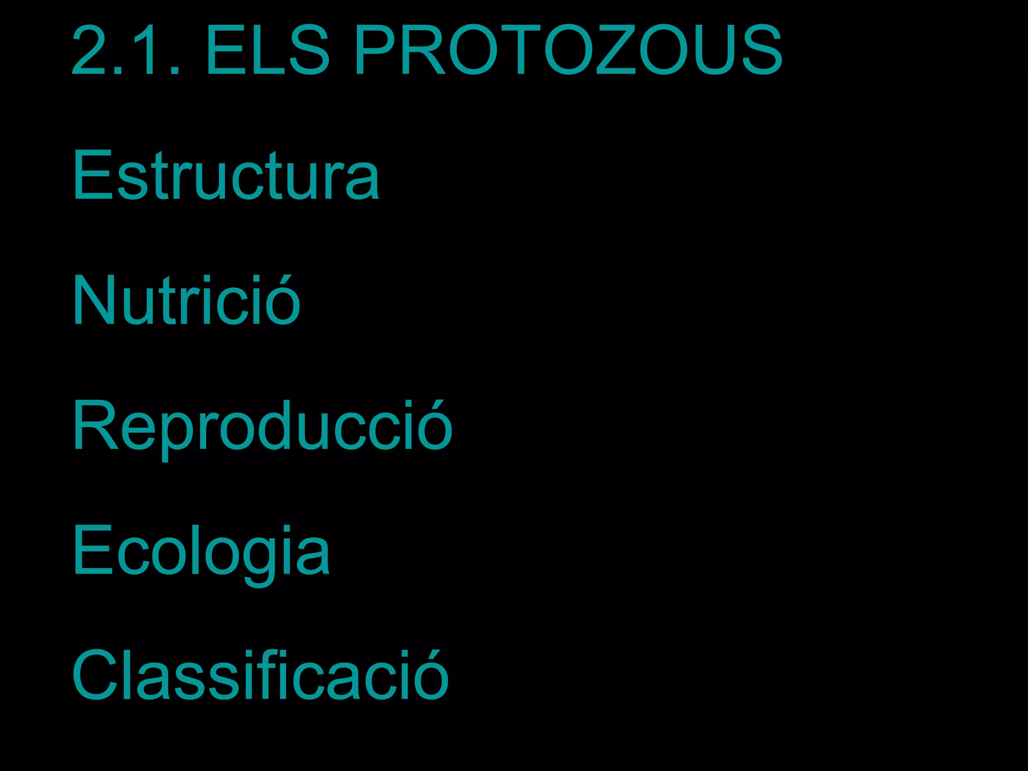 Unitat nº2. els protozous | PPT