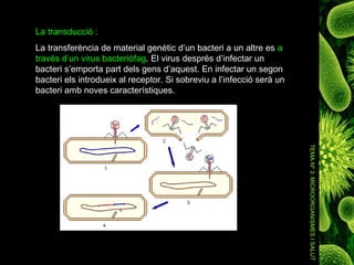 Unitat nº 3 | PPT