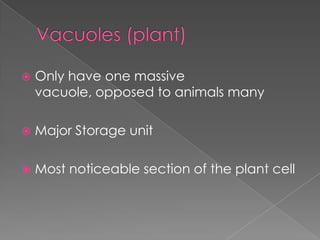 Unit b - section 2.2 vital roles that cell structures play | PPT