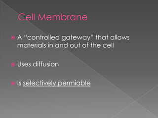 Unit b - section 2.2 vital roles that cell structures play | PPT