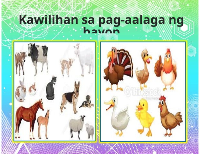 UNIT BOARD EPP sample for grade 4-6.docx