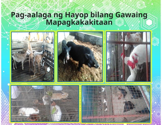 UNIT BOARD EPP sample for grade 4-6.docx