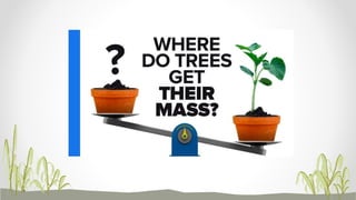 Unit b plants for food & fibre | PPTX