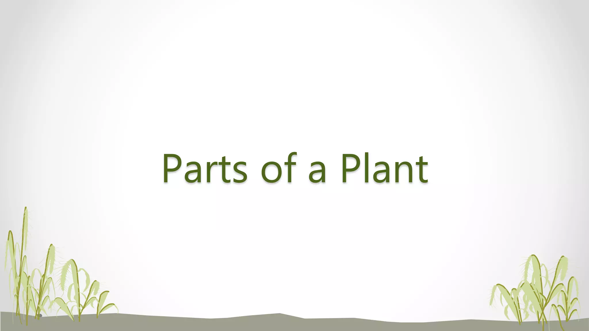 Unit b plants for food & fibre (parts of a plant) | PPT