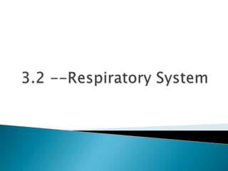 Unit b section - 3.2 respiratory system | PPTX