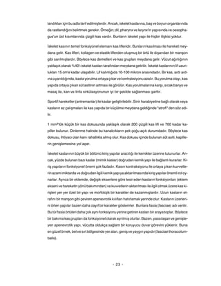 ANATOMİ hücre ve doku | PDF