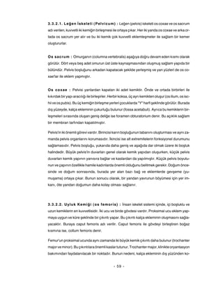 ANATOMİ hareket sistemi | PDF