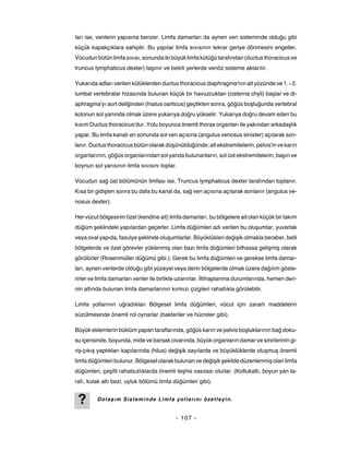 Anatomi dolaşım sistemi | PDF