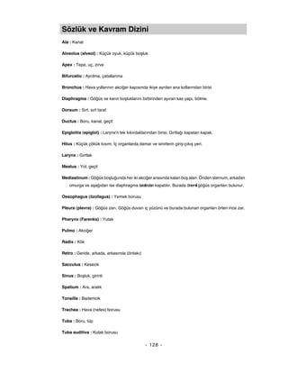ANATOMİ solunum sistemi | PDF