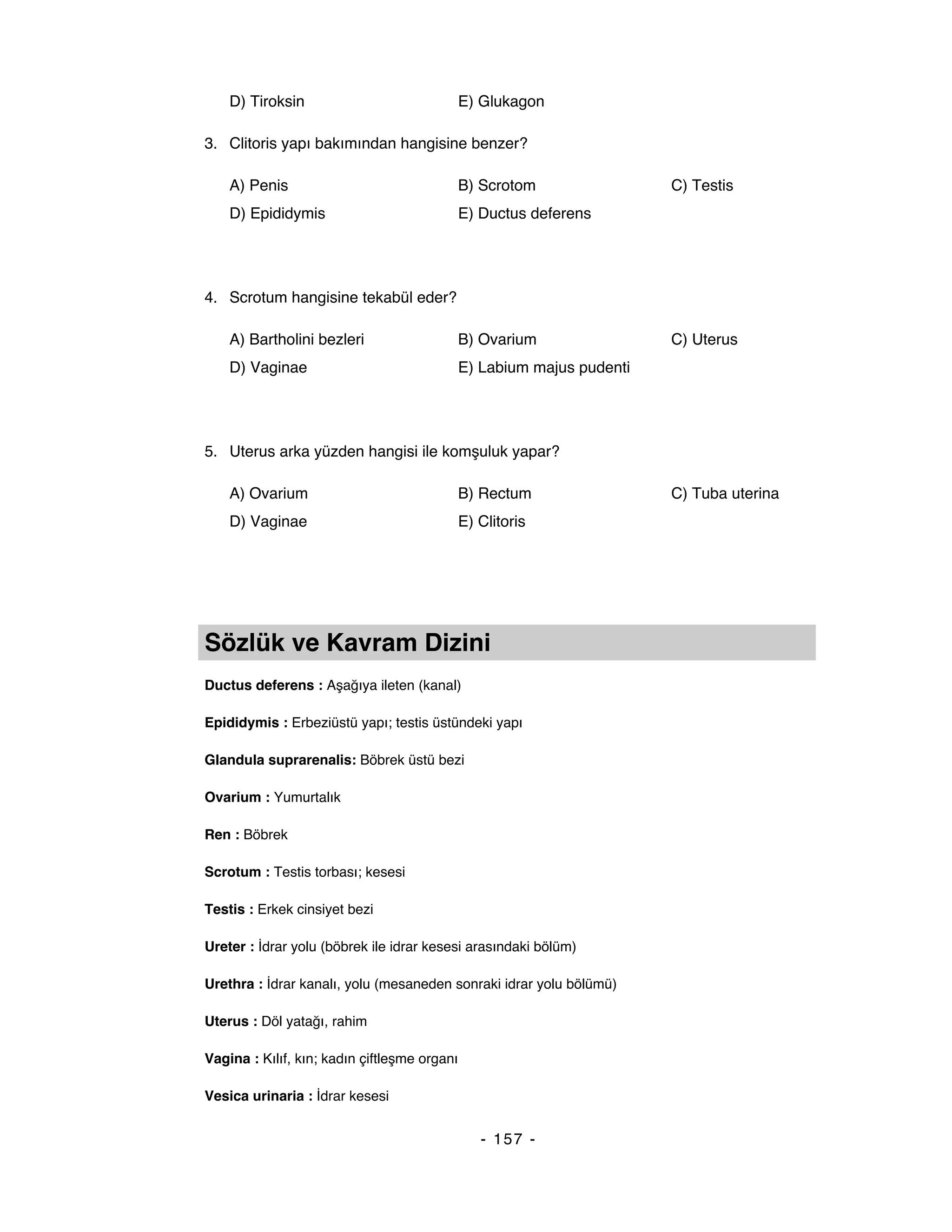 ANATOMİ urogenital sistem | PDF