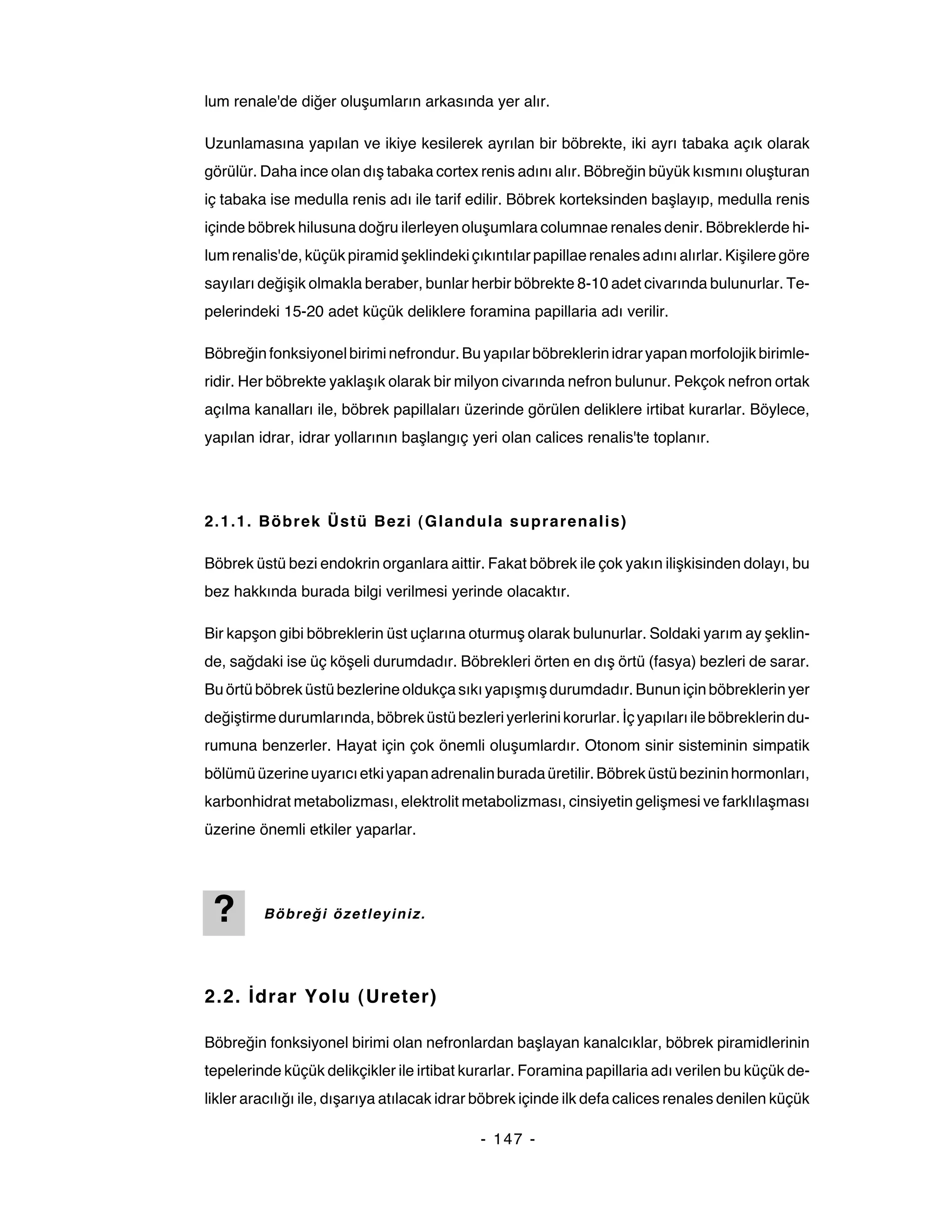 ANATOMİ urogenital sistem | PDF