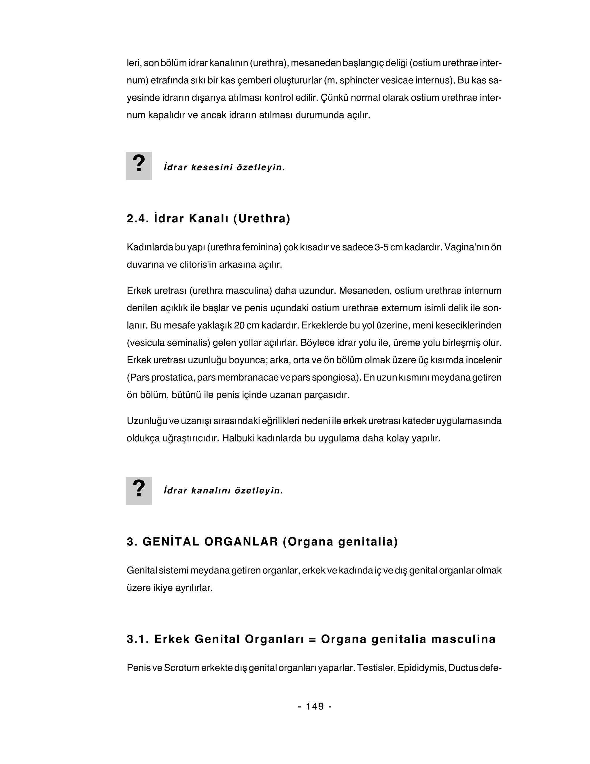 ANATOMİ urogenital sistem | PDF