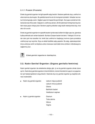 ANATOMİ urogenital sistem | PDF
