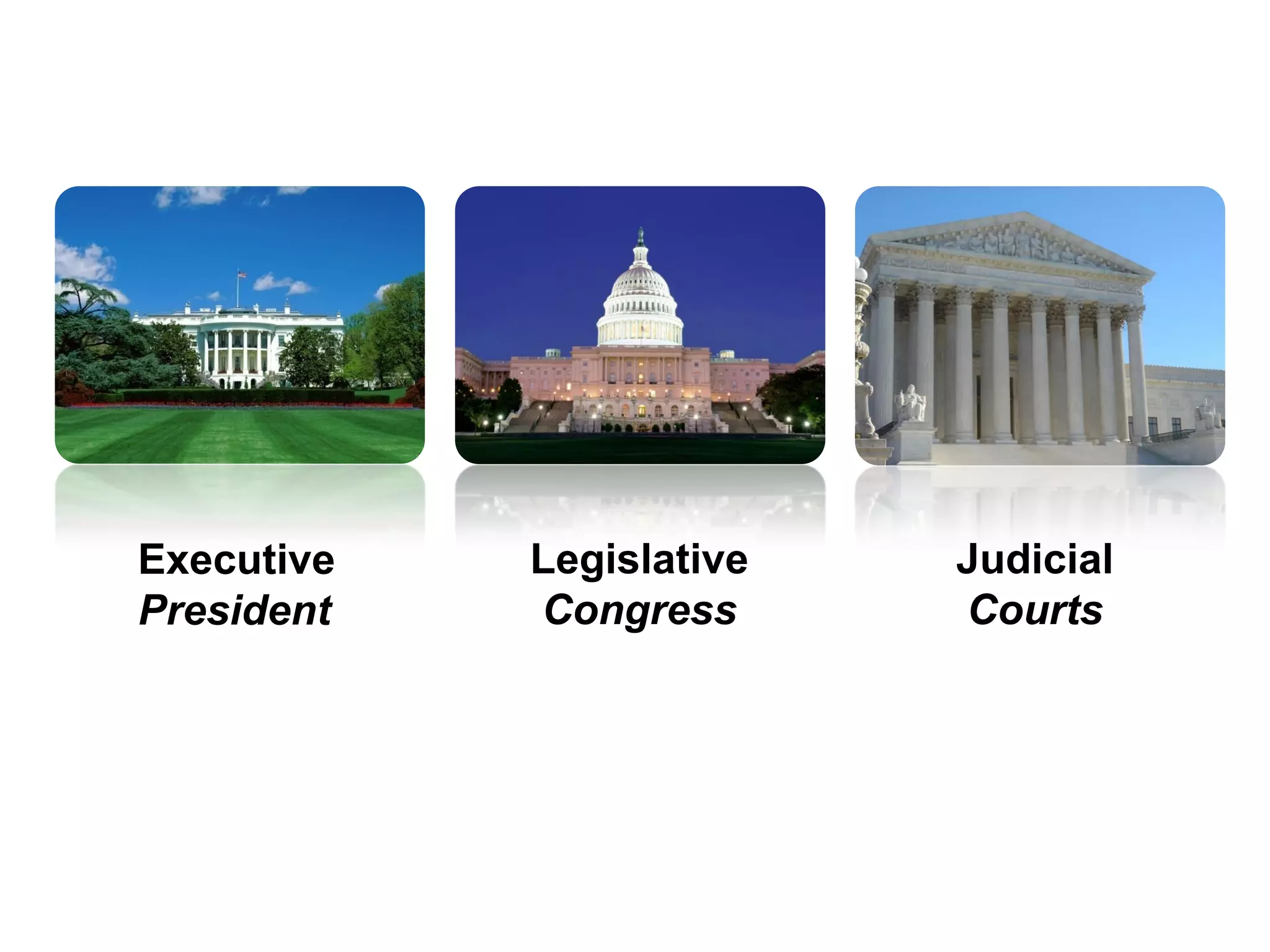 Branches of Government | PDF