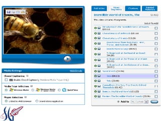 United Streaming | PPT