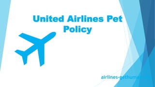 United Airlines Pet Policy | PPT