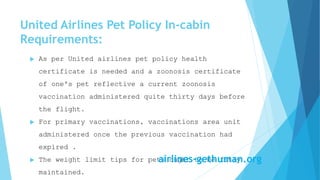 United Airlines Pet Policy | PPT