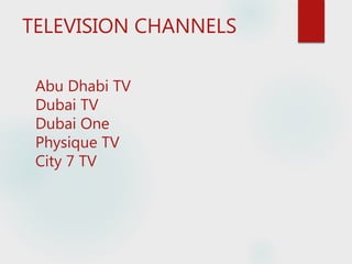 United arab emirates | PPTX