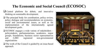 United nations | PPTX