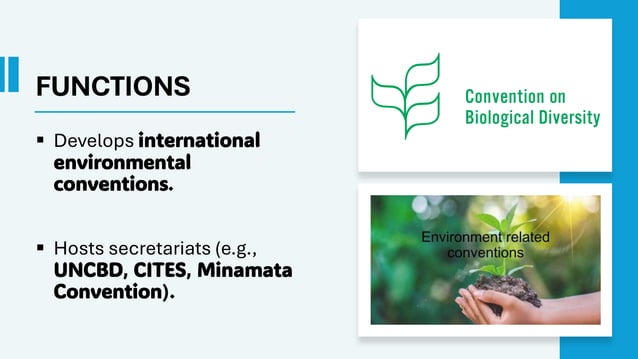 United Nations Environment Programme (UNEP) UPSC | PDF