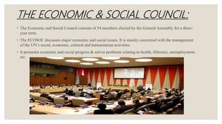 United nations organization | PPTX