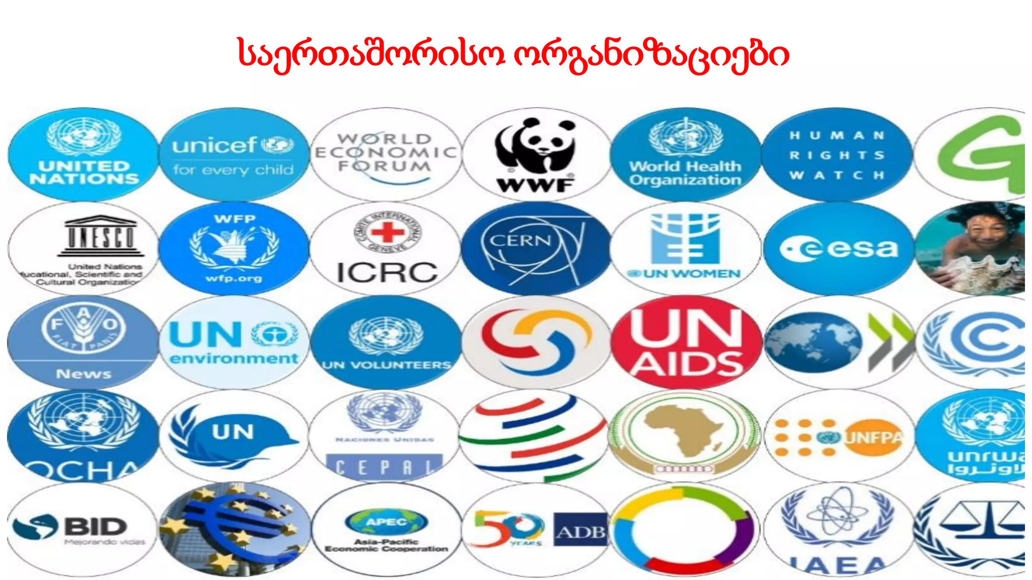 United nations organization | PDF
