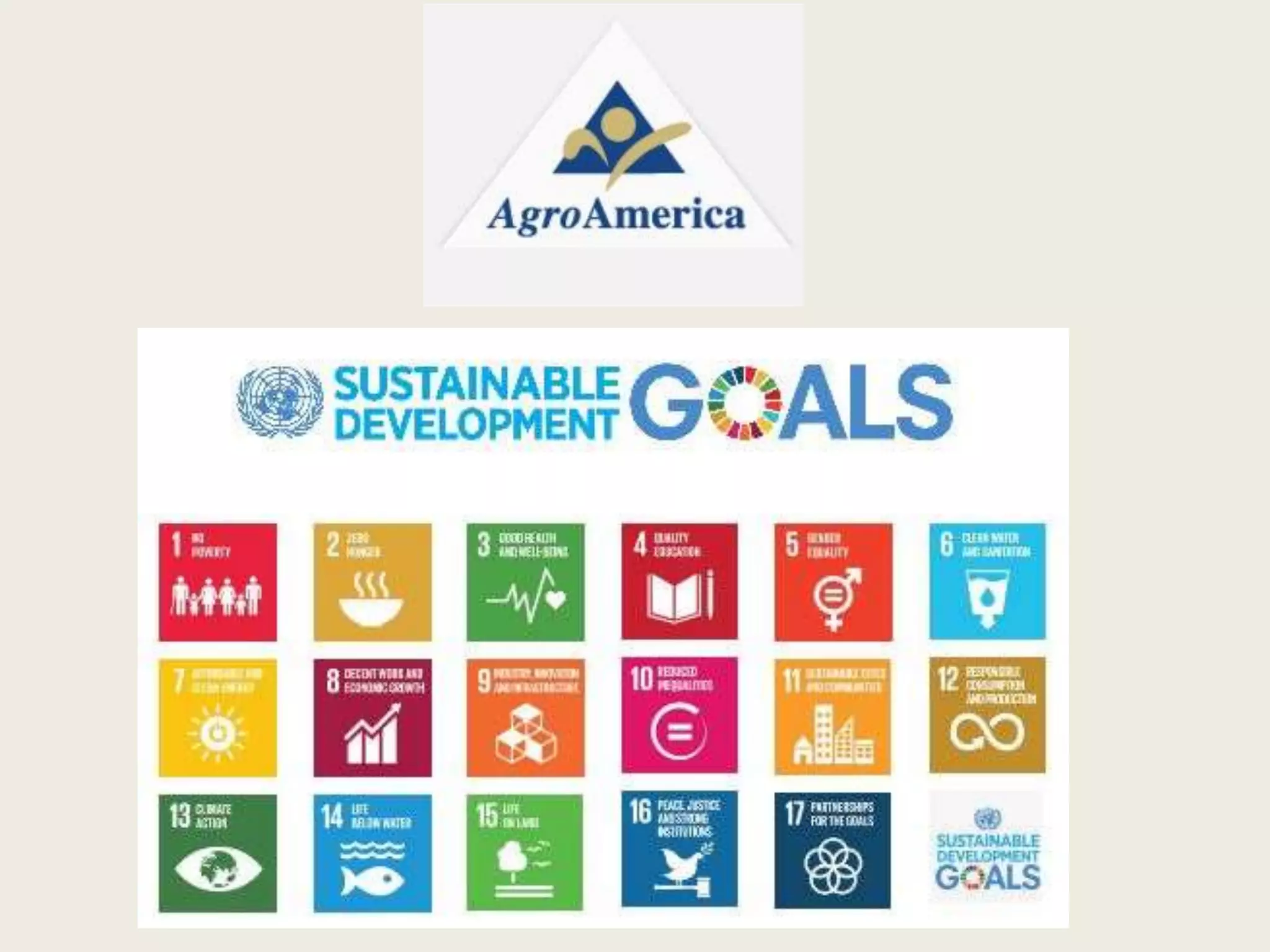United Nations Sustainable Development Goals | PPT