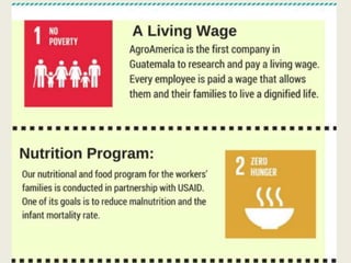 United Nations Sustainable Development Goals | PPT
