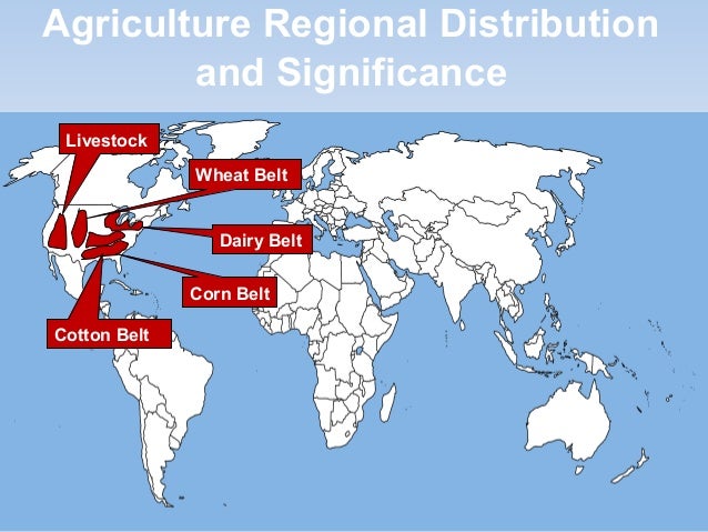 United States of America Special
