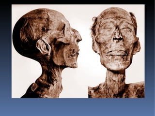 Unit egypt | ODP | Agriculture | Industries