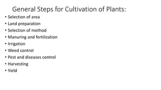 Cultivation,collection, processing and storage of drugs of Natural ...