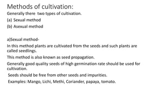 Cultivation,collection, processing and storage of drugs of Natural ...