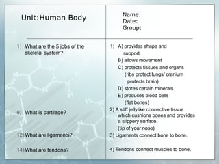 Unit Four Cornell Notesc | PPT | Lung and Respiratory Health | Diseases ...