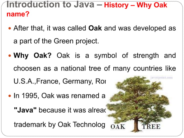 Basics of JAVA programming | PPTX | Programming Languages | Computing