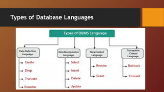 Introduction to Database Management Systems | PPT